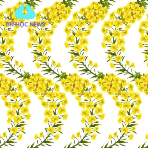 Tải Hình Hoa Mai Vector File PNG Thiết Kế CDR, AI, PSD