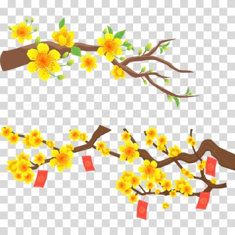 Tải Hình Hoa Mai Vector File PNG Thiết Kế CDR, AI, PSD