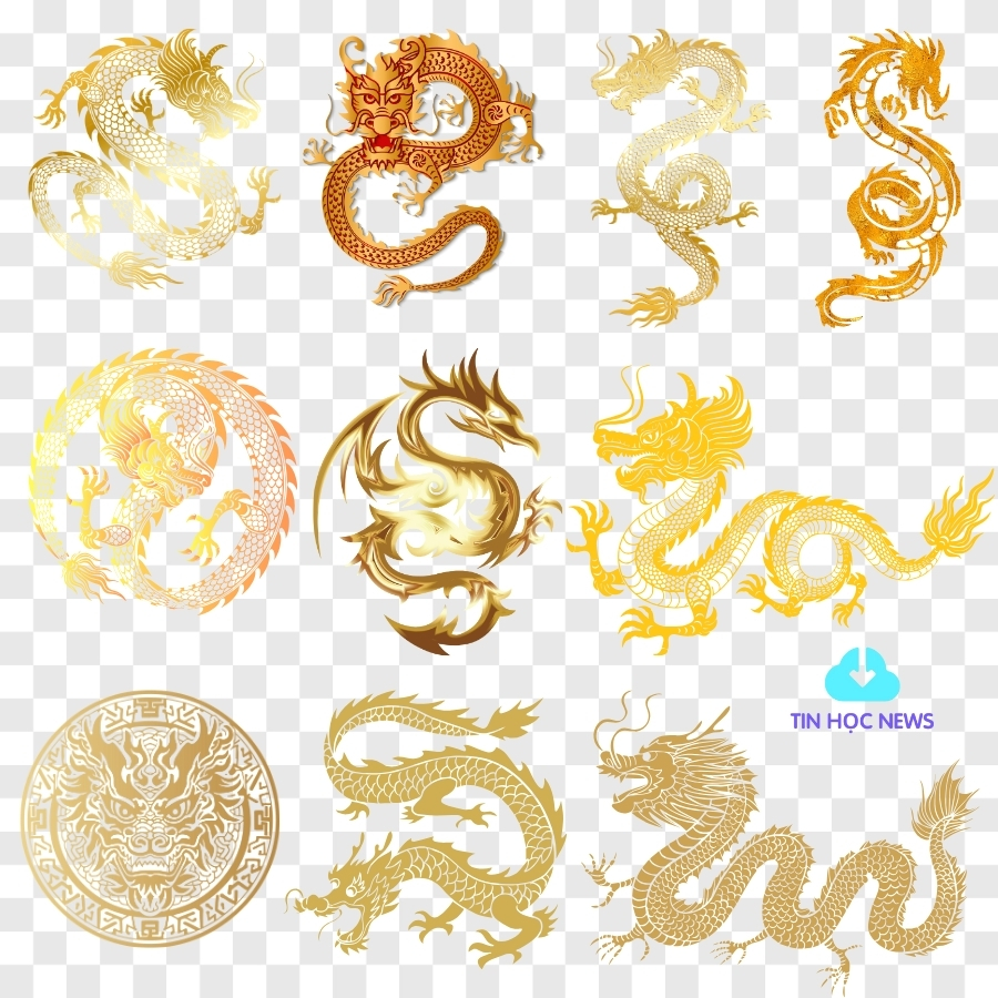 Tổng Hợp 100+ Hình Ảnh Con Rồng Vector Đẹp Nhất Miễn Phí