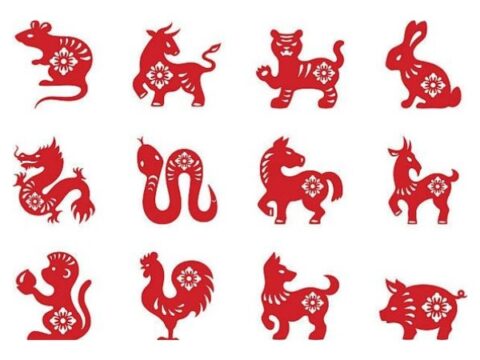 Tải Ngay Bộ 12 Con Giáp Vector Cực Chất