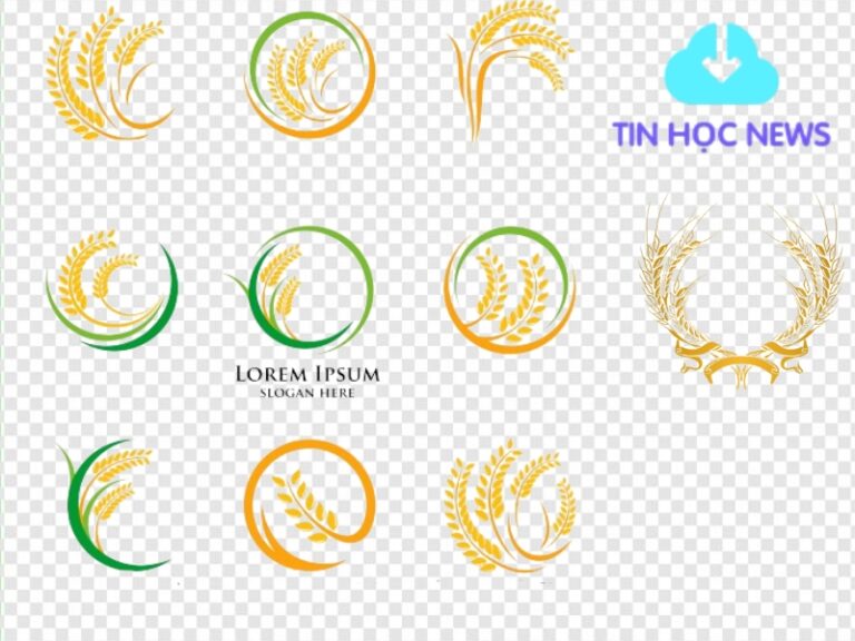 19+ Hình Ảnh Vector Bông Lúa Đẹp Sắc Nét File PNG, PSD, AI