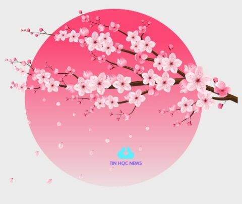 Tải Miễn Phí Hoa Đào Tết Đẹp File Vector PNG, PSD,...