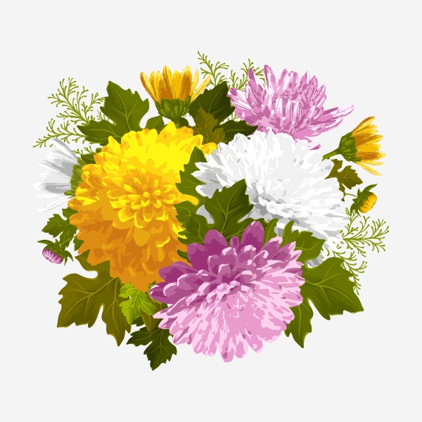 Link Tải 55+ Mẫu Hoa Cúc Vector Cực Ý Nghĩa