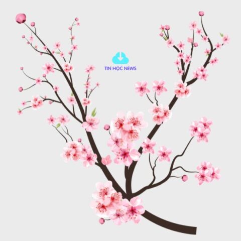 Tải Miễn Phí Hoa Đào Tết Đẹp File Vector PNG, PSD,...