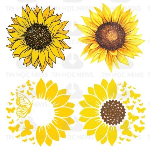 Tải Miễn Phí 44+ Mẫu Hoa Hướng Dương Vector Đẹp Nhất