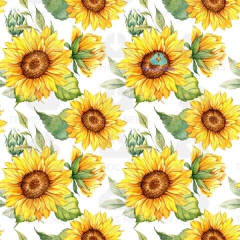 Tải Miễn Phí 44+ Mẫu Hoa Hướng Dương Vector Đẹp Nhất