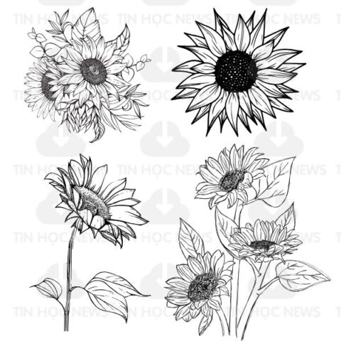 Tải Miễn Phí 44+ Mẫu Hoa Hướng Dương Vector Đẹp Nhất