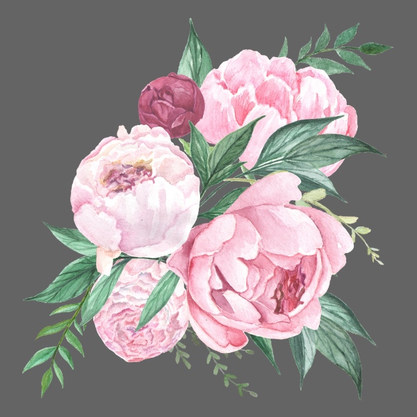 Xem Bộ Ảnh 20 Hình Hoa Mẫu Đơn Vector Phú Quý