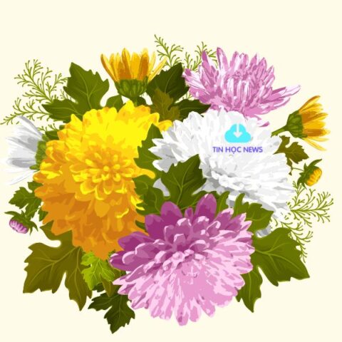 Tải Hoa Cúc Vector PNG Đẹp Mới Nhất Miễn Phí
