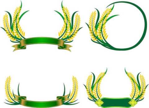 19+ Hình Ảnh Vector Bông Lúa Đẹp Sắc Nét File PNG, PSD, AI