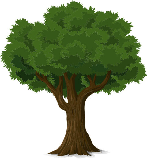 25+ Mẫu Vector Cây Xanh File PSD, PNG, AI Miễn Phí