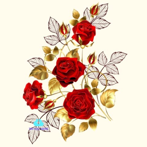 Download Vector Hoa Hồng Đẹp File Corel, PNG, PSD Miễn Phí