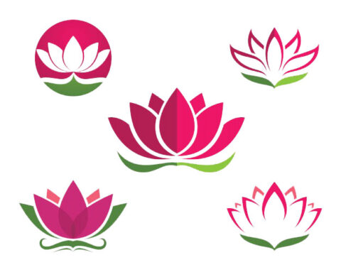 Tải 35+ Mẫu Hoa Sen Vector Miễn Phí File PSD, PNG, AI, PDF