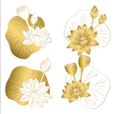 Tải 35+ Mẫu Hoa Sen Vector Miễn Phí File PSD, PNG, AI, PDF