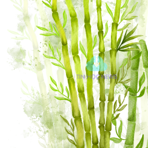 20+ Mẫu Cây Tre Vector Đẹp, Sắc Nét, AI, EPS, PNG, Tải Xuống Miễn Phí