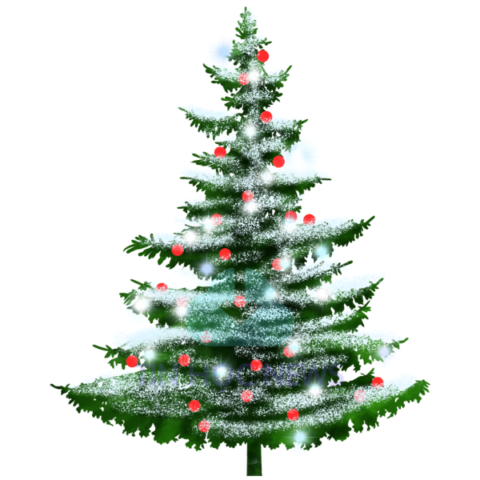 Download 20+ Mẫu Cây Thông Noel Vector Đẹp EPS, PNG, SVG