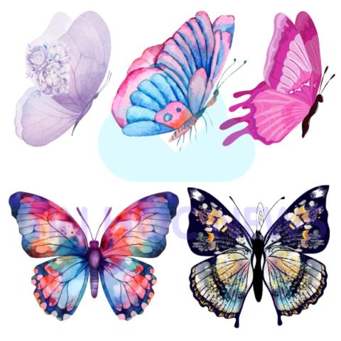 Download Free Con Bướm Vector Đẹp File AI, EPS, JPEG, PNG