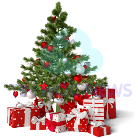 Download 20+ Mẫu Cây Thông Noel Vector Đẹp EPS, PNG, SVG