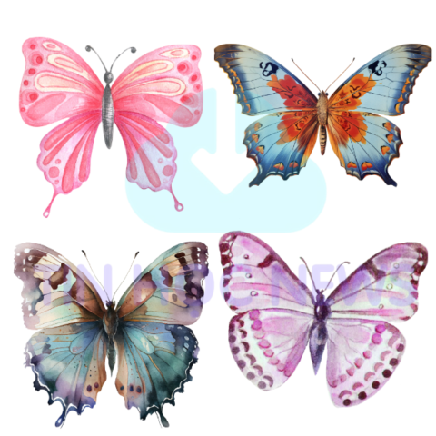 Download Free Con Bướm Vector Đẹp File AI, EPS, JPEG, PNG