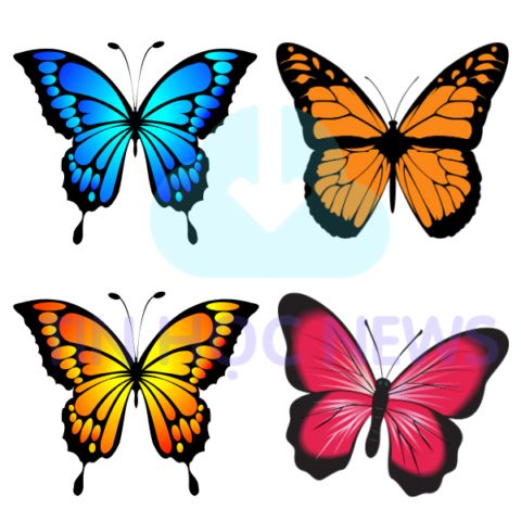 Download Free Con Bướm Vector Đẹp File AI, EPS, JPEG, PNG