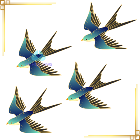 Tải Miễn Phí Bộ Sưu Tập Chim Yến Vector Đẹp AI, EPS, JPEG, PNG, SVG, PDF