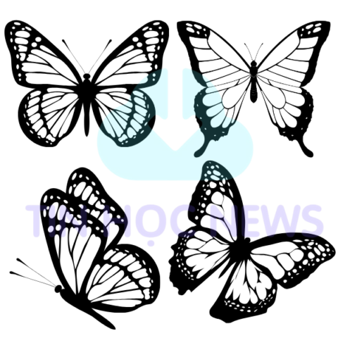 Download Free Con Bướm Vector Đẹp File AI, EPS, JPEG, PNG