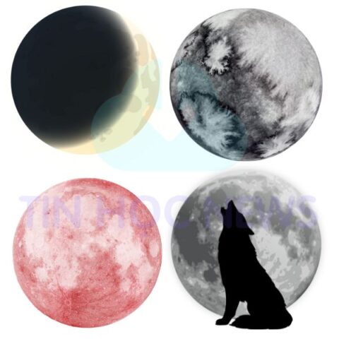 Download 15+ Mẫu Mặt Trăng Vector Miễn Phí File AI, EPS, JPEG, PNG, SVG ...