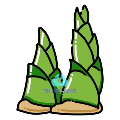Tải Búp Măng Vector Miễn Phí Chất Lượng Cao PNG, EPS, JPEG, SVG, PDF