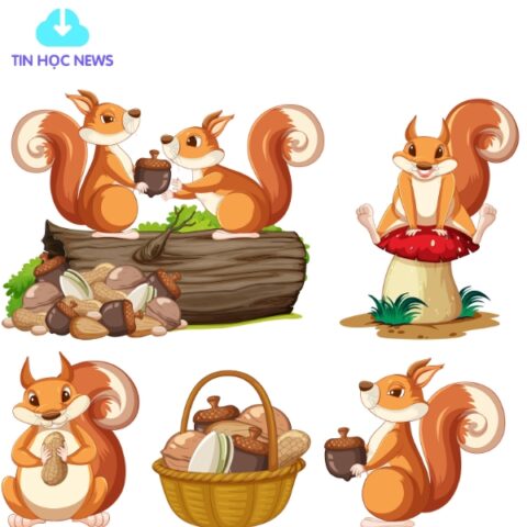 Tải Miễn Phí 15+ Hình Ảnh Con Sóc Vector Đẹp, Dễ Thương