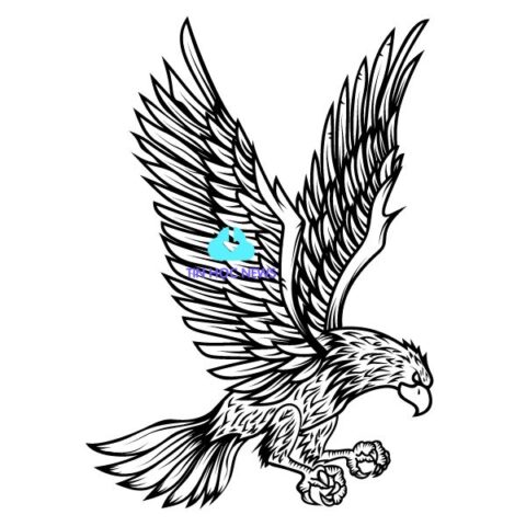 Tải Miễn Phí HÌnh Ảnh Đại Bàng Vector Đẹp Nhất File PNG, PSD, JPEG, SVG