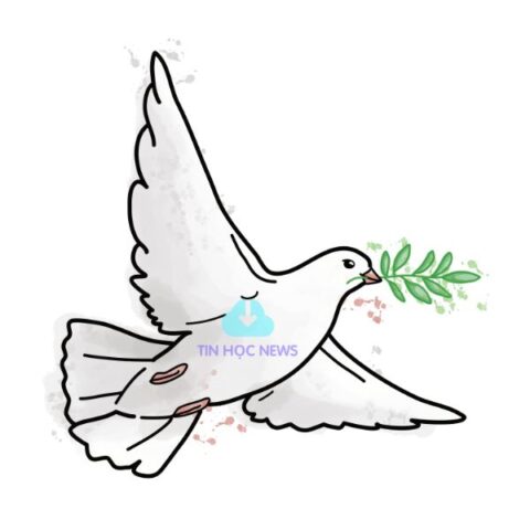 Tải Chim Bồ Câu Vector Đẹp Mới Nhất Miễn Phí PNG, SVG, PSD