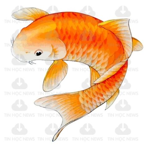Tải Miễn Phí 99+ Hình Cá Chép Vector Đẹp File JPEG, EPS, PNG, SVG, AI