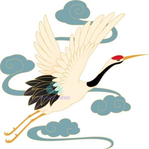 Tải Chim Hạc Vector đẹp Miễn Phí Cho Thiết Kế File JPEG, EPS, PNG, SVG, AI