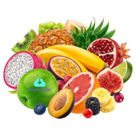 Tải 20+ Mẫu Trái Cây Vector Đẹp Miễn Phí File JPEG, PNG, SVG, AI, PDF