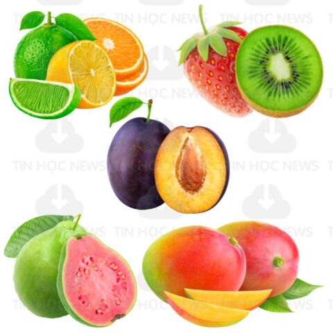 Tải 20+ Mẫu Trái Cây Vector Đẹp Miễn Phí File JPEG, PNG, SVG, AI, PDF