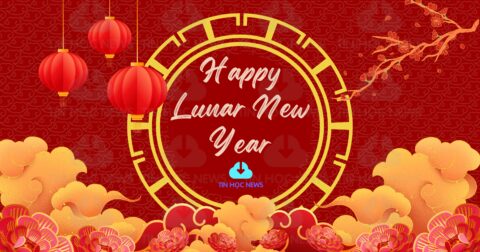 Tải Background Tết Vector - Phông Nền Tết Đẹp PSD, PNG