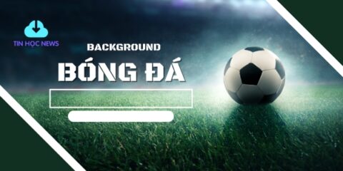 Tổng Hợp 1000+ File Vector Miễn Phí được Sưu Tầm độc Quyền