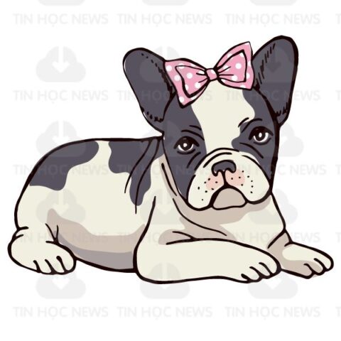 Download 66+ Hình Con Chó Vector Miễn Phí File AI, PSD, PDF, SVG, PNG
