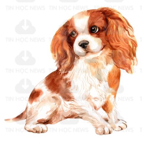 Download 66+ Hình Con Chó Vector Miễn Phí File AI, PSD, PDF, SVG, PNG