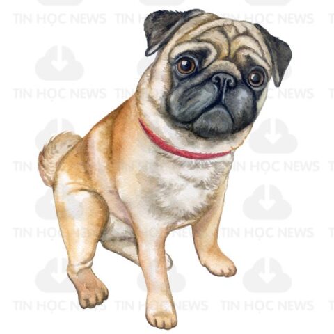 Download 66+ Hình Con Chó Vector Miễn Phí File AI, PSD, PDF, SVG, PNG