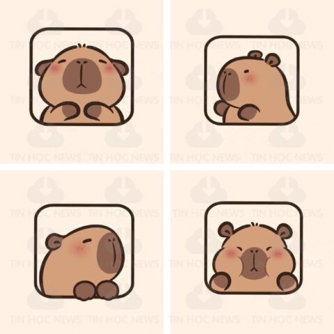 Bộ Sưu Tập 40+ Avatar Capybara Siêu Cute