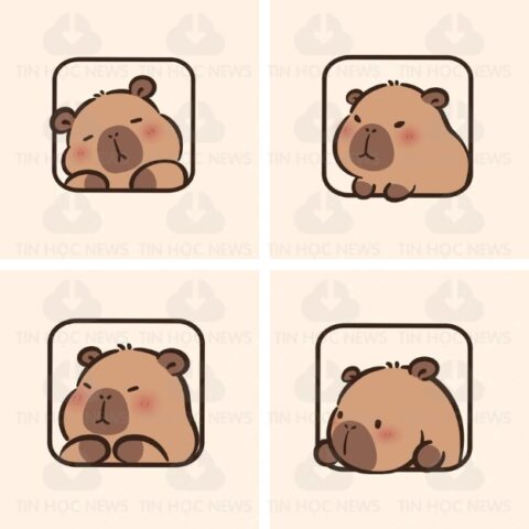 Bộ Sưu Tập 40+ Avatar Capybara Cute Miễn Phí